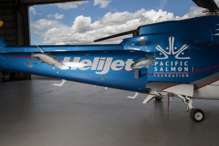 Helijet takes salmon restoration to new heights – Victoria Esquimalt ...